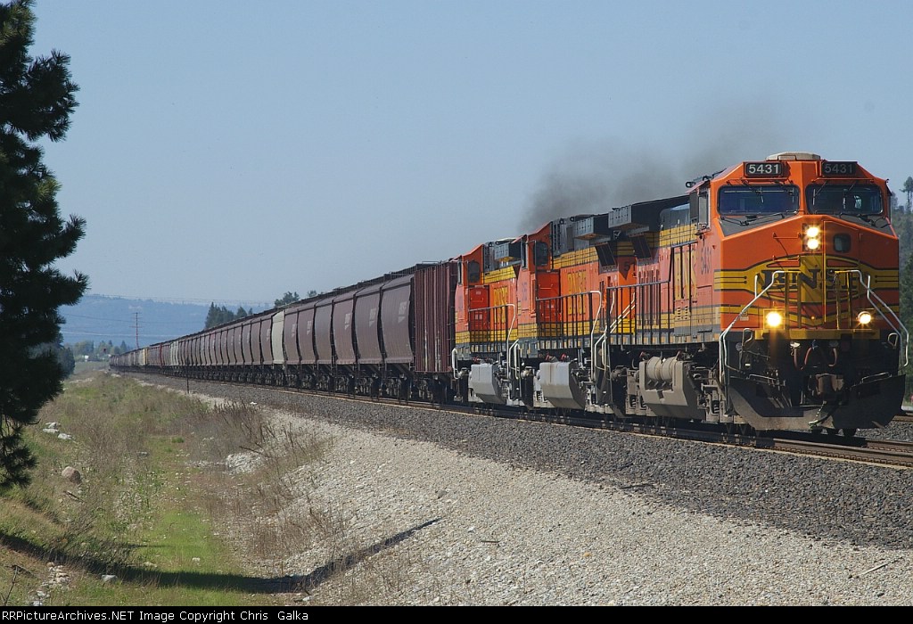BNSF 5431